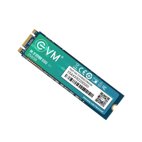 Buy EVM 256GB M.2 SATA SSD EVMM2/256GB in India At Best Price